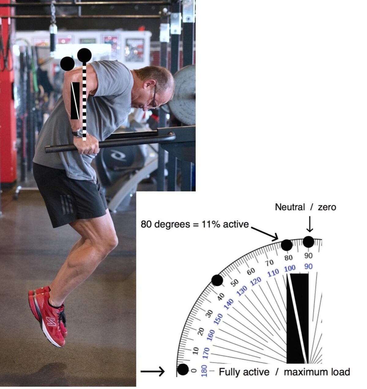 The Physics Of Fitness – Online Program